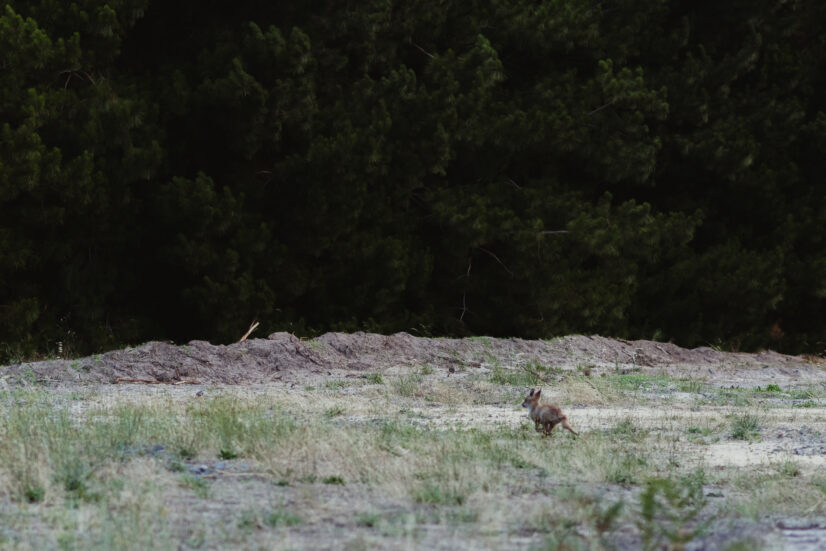BETH + KATE • Petite Visuals by Morgane Cazaubon - photography ...